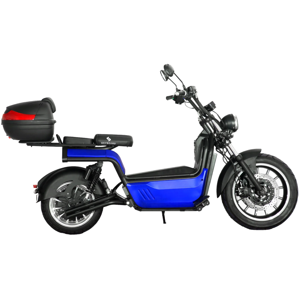 Skyboard BR100-5000 (Amur) купить в Москве - Цена, Характеристики | Магазин EcoMoto